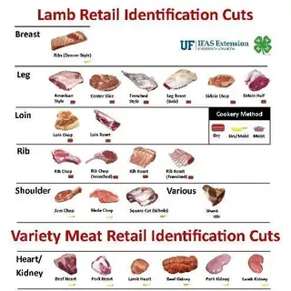 Lamb Meat Cuts Chart