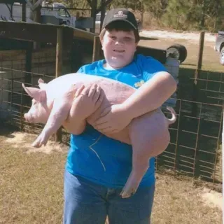 4HSWG05/4H407: Raising a Market Show Hog