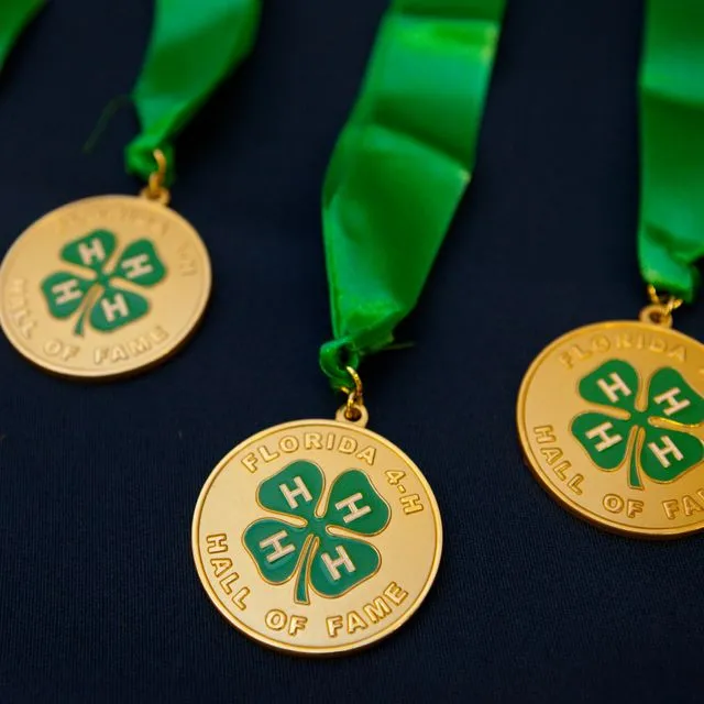 Ask IFAS: Topic - UF/IFAS Extension Initiative 7: 4-H Youth Development