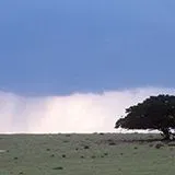 Ask IFAS: Topic - Climate-Smart Agriculture