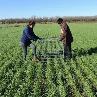 SS-AGR-434/AG434: Estimating Herbage Mass on Pastures to Adjust ...