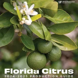 PP-45/CG007: 2024–2025 Florida Citrus Production Guide: Postbloom Fruit ...