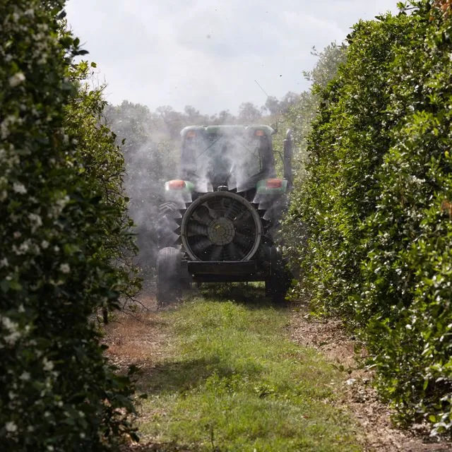 Ask IFAS: Topic - Citrus Nutrient Management