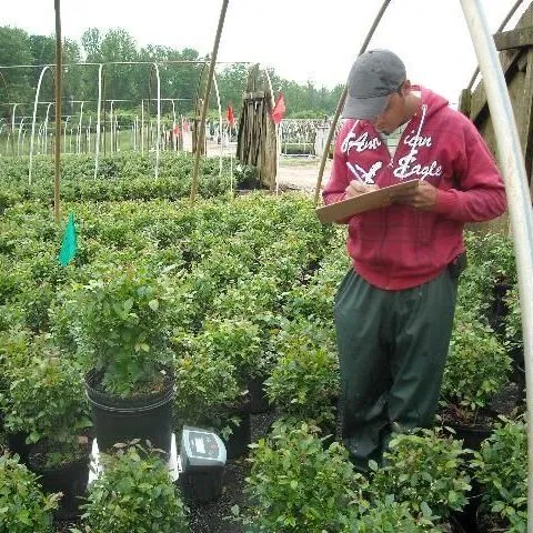 Ask IFAS: Shawn Steed