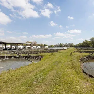 FA17/FA003: Fertilization of Fresh Water Fish Ponds