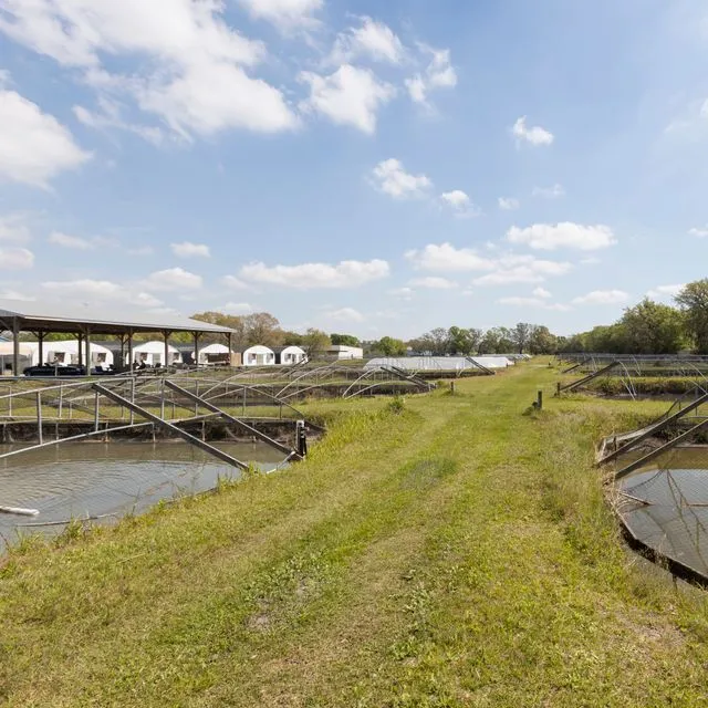 Ask IFAS: Topic - Ponds