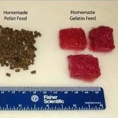 CIR 97/FA097: Preparing Your Own Fish Feeds