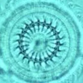 FA108/FA108: Common Freshwater Fish Parasites Pictorial Guide: Motile ...