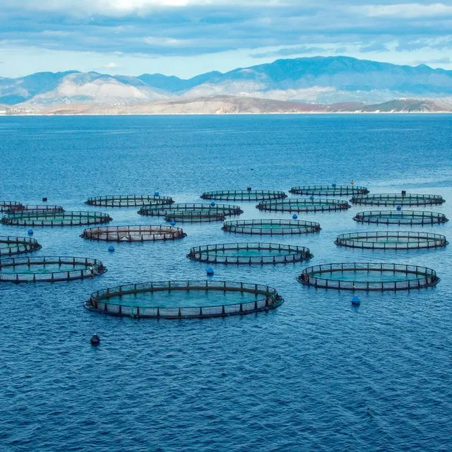 Ask IFAS: Candidate Species for Florida Aquaculture series