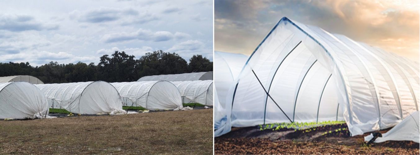 FE1135/FE1135: The Cost of High Tunnel and Caterpillar Tunnel ...