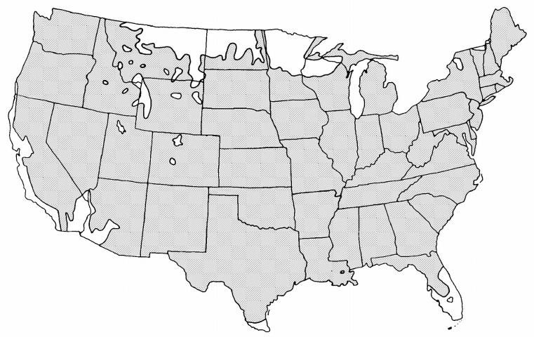 FPS-601/FP601: Veronica spp. Wooly Speedwell, Speedwell