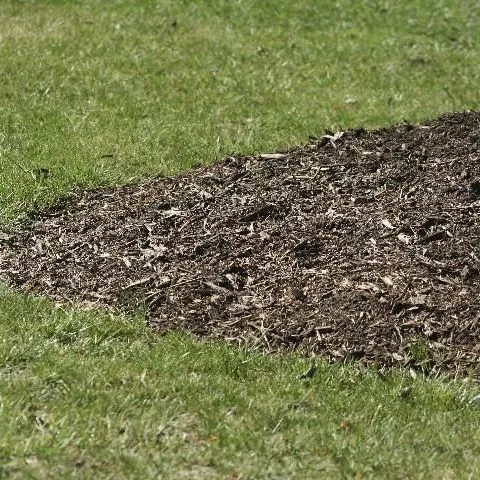 Ask IFAS: Topic - Lawn and Garden: Mulches
