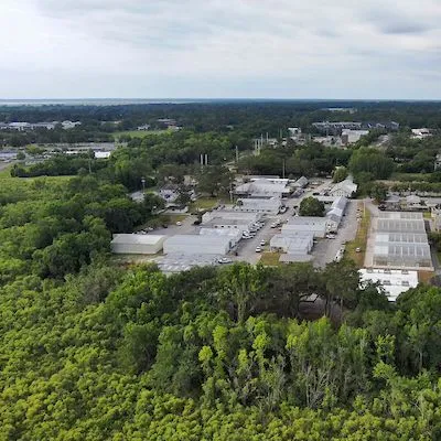 Ask IFAS: Jennifer A. Seitz