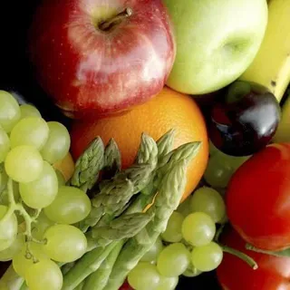 FSHN10-01/FS148: Facts about Fructose