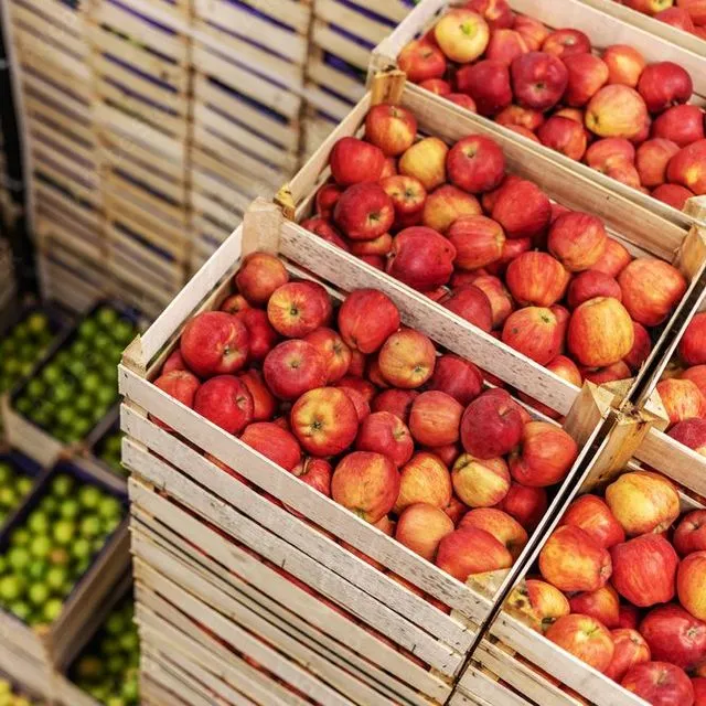 Ask IFAS: Food Safety on the Farm series