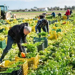 FSHN10-10/FS158: Food Safety on the Farm: Good Agricultural Practices ...
