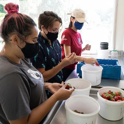 Ask IFAS: Food Safety on the Farm series