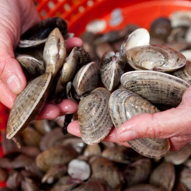 Ask IFAS: Unit - Food Science and Human Nutrition