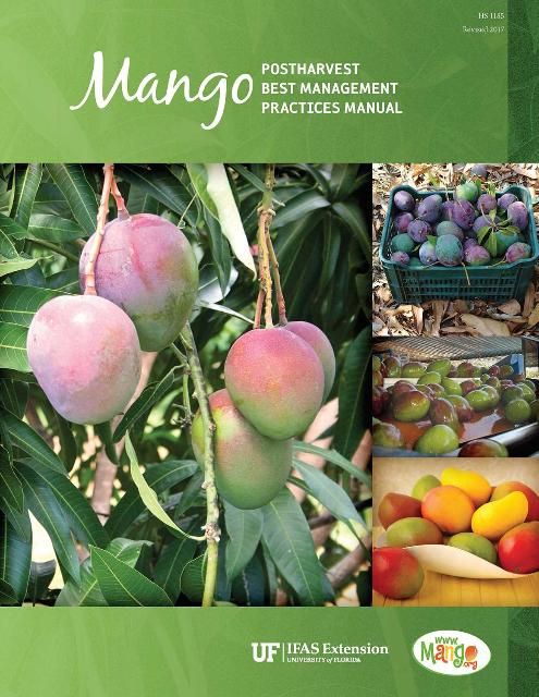 HS1185/HS1185: Mango Postharvest Best Management Practices Manual