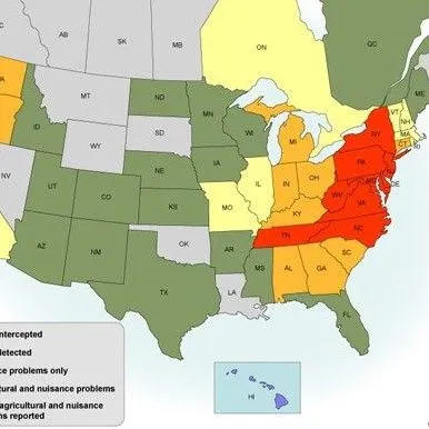 Ask IFAS: Anita S. Neal