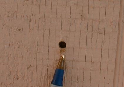 ENY-2044/IN1277: Termite Prevention and Control