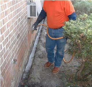 ENY-2044/IN1277: Termite Prevention and Control