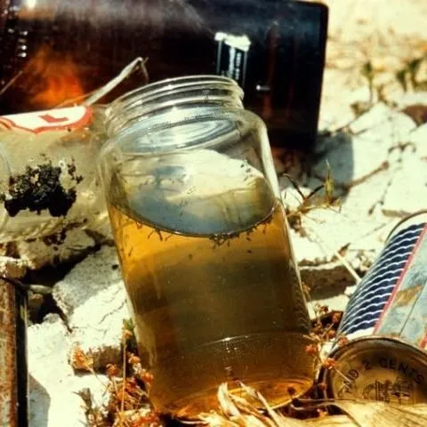 Ask IFAS: Topic - Cleaning Audiences