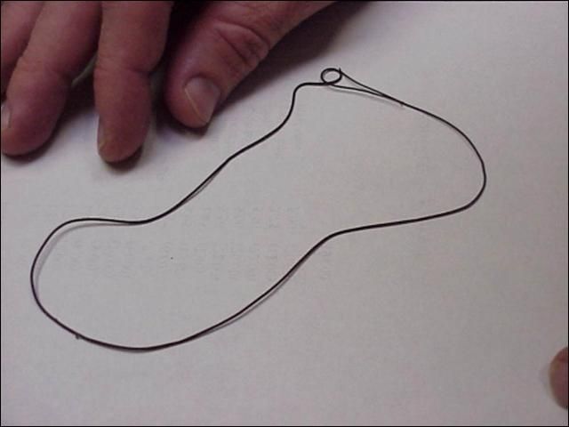 EENY117/IN274: Horsehair Worms, Hairworms, Gordian Worms, Nematomorphs ...