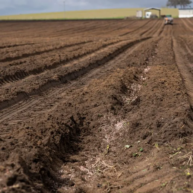 Ask IFAS: Topic - Salinity Control