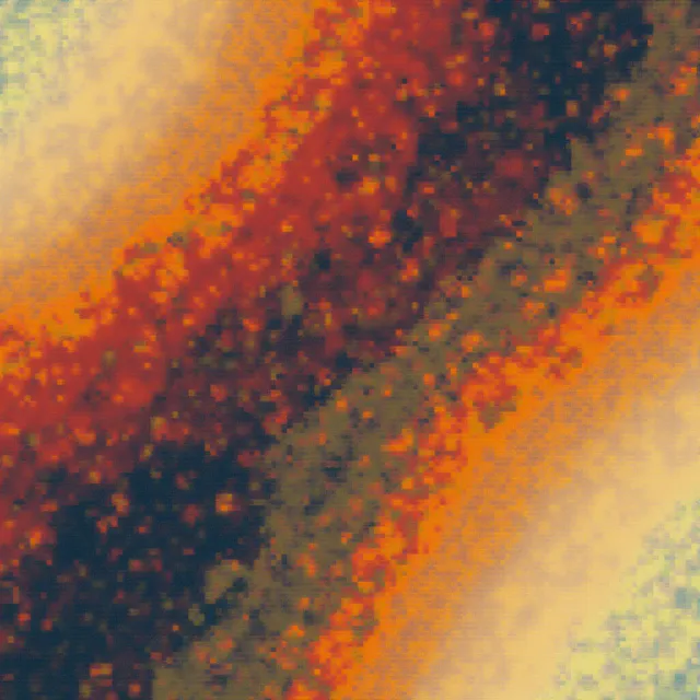 Ask IFAS: Topic - Biochars