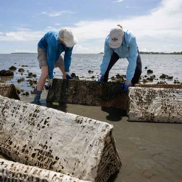 Ask IFAS: Topic - Analytical Methods