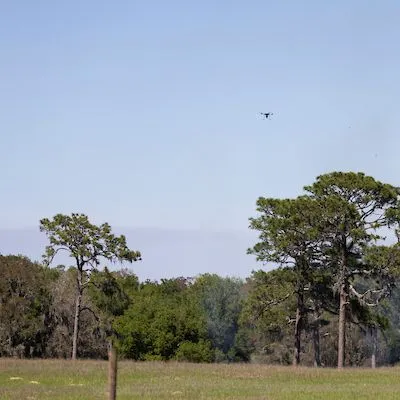 Ask IFAS: Mark E. Hostetler