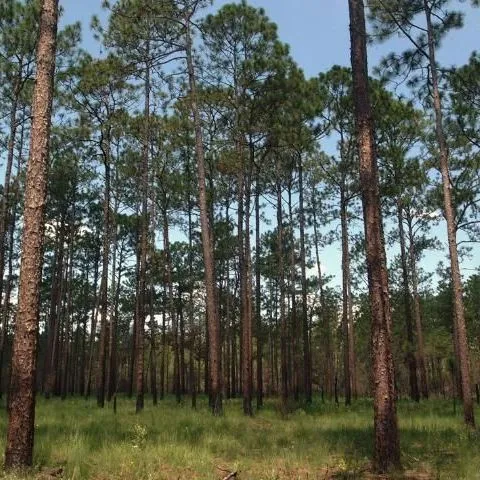 Ask IFAS: Conservation Subdivisions series