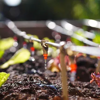 AE65/WI010: Settling Basins for Microsprinkler Irrigation in Florida