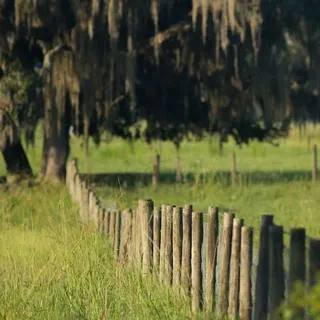 FE107/FE107: Handbook of Florida Fence and Property Law: Boundaries and ...