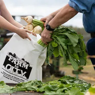 Ask IFAS: Topic Index