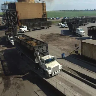 Ask IFAS: Topic - Histosols