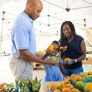 Ask IFAS: Topic Index