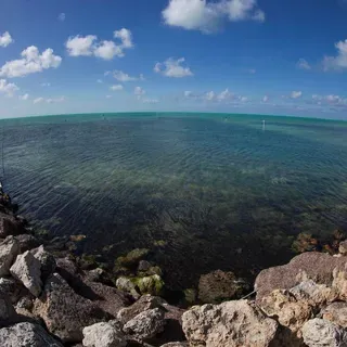 Ask IFAS: Topic Index