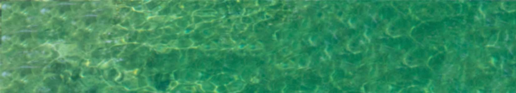 Ask IFAS - Powered by EDIS